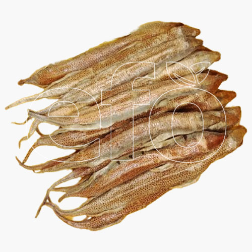 sandalwood (raig mahi)ریگ ماہی - Arpansar